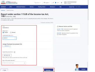 Form 29B User Manual | Income Tax Department